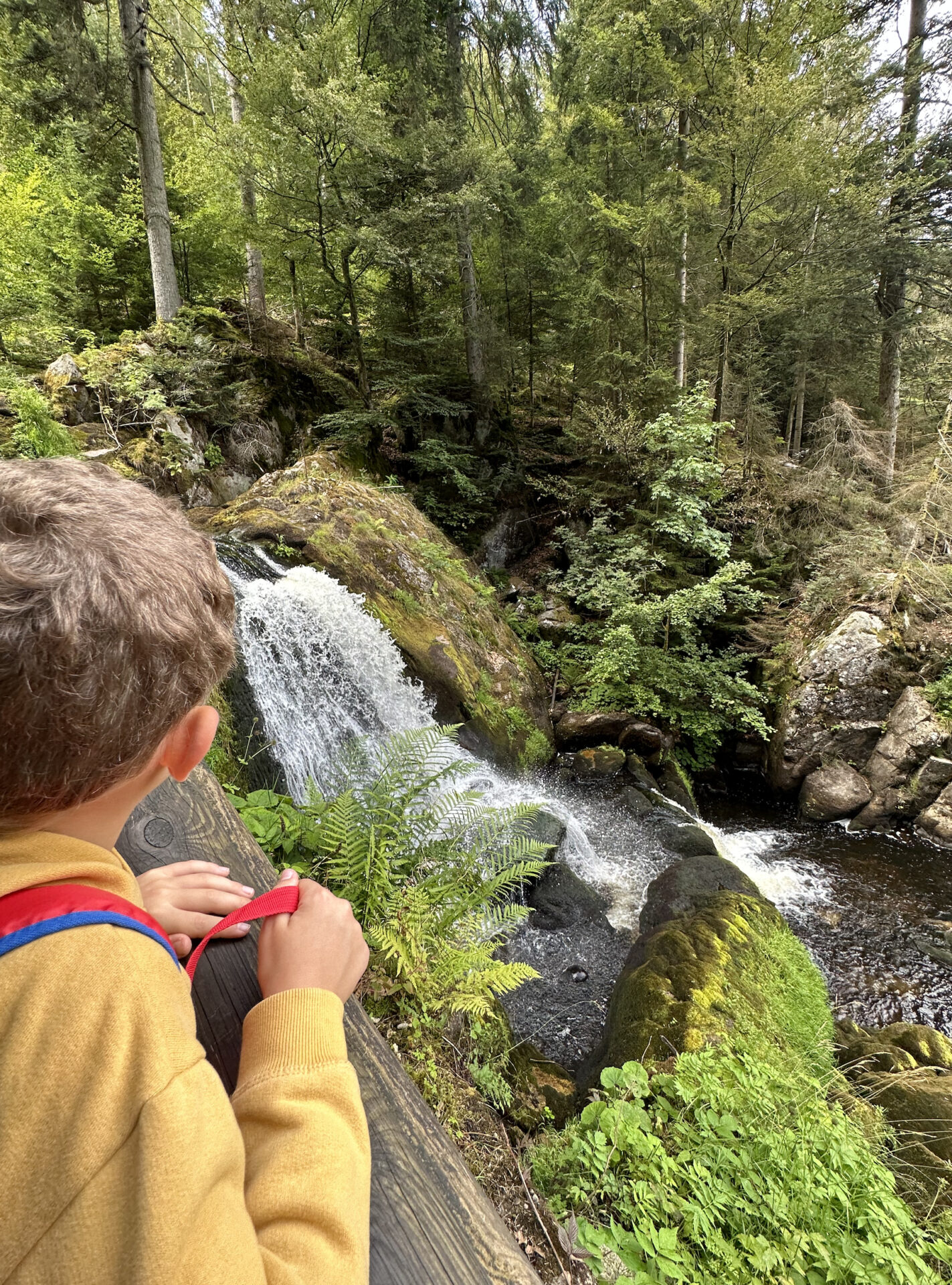 Une journée à Triberg im Schwarzwald au cœur de la Forêt-Noire - Les ...