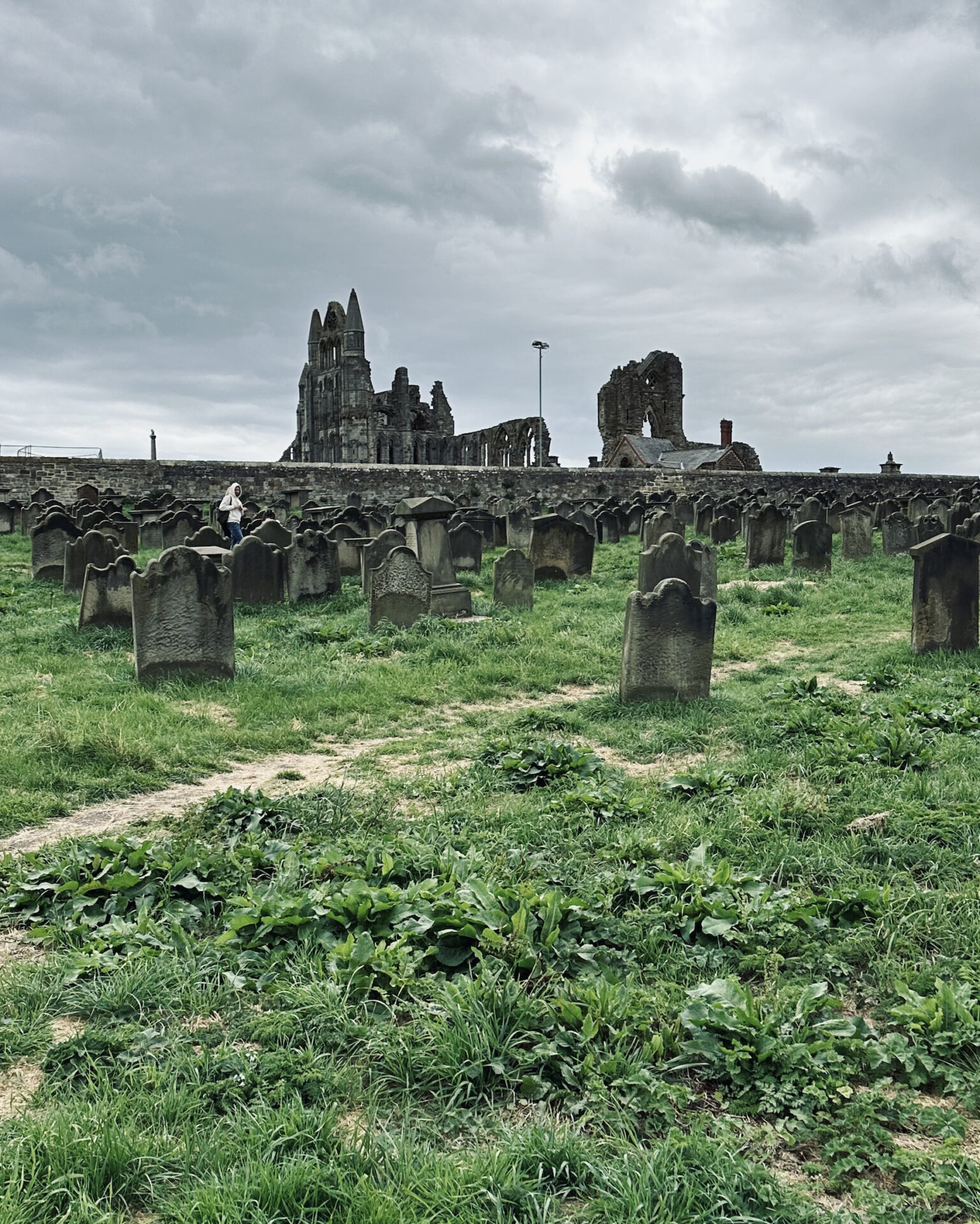 Visit Whitby in England: Between an emblematic fishing village and the ...