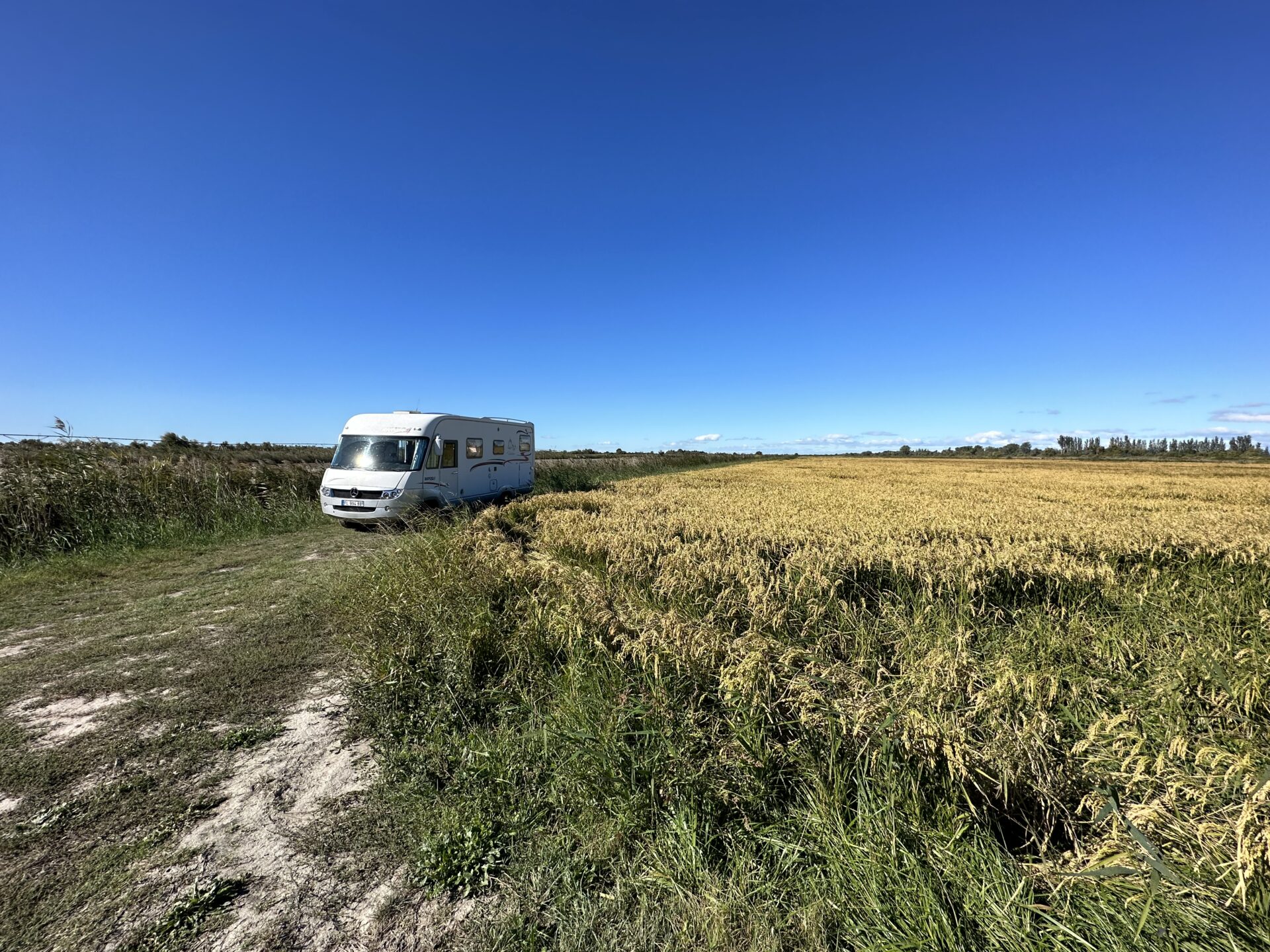 The Camargue by motorhome: itinerary, traditions and discoveries in the ...
